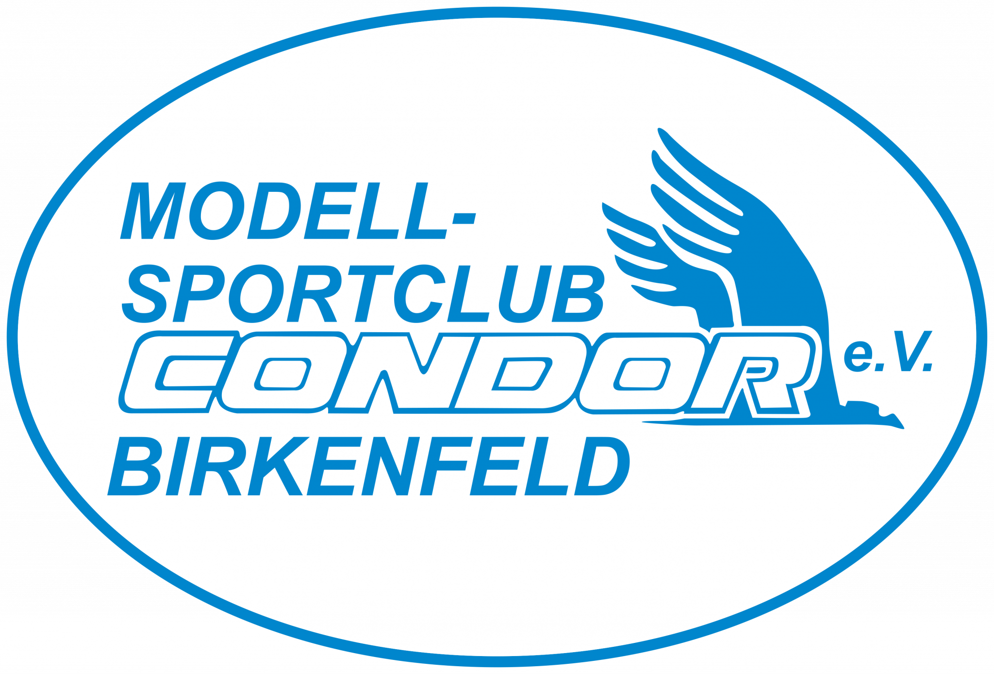 MSCCondor Birkenfeld e.V. – MSCCondor Birkenfeld e.V. 1 Vorsitzender ...